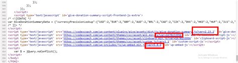 How To Remove Version From Css And Js In Wordpress Codexcoach