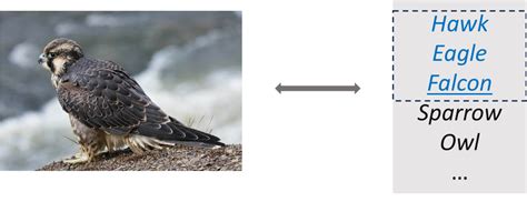 Can Better Text Semantics In Prompt Tuning Improve Vlm Generalization