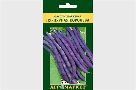 Сорта спаржевой фасоли: фото и описание, разновидности, агротехника