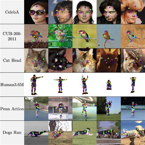 unsupervised part based disentangling of object shape and appearance