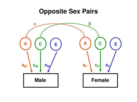 Ppt Females Powerpoint Presentation Free Download Id3411363