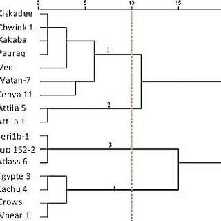 Dendrogram Based On The Percentage Of Infection Accumulated By The Download Scientific Diagram