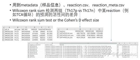 10x单细胞（10x空间转录组）数据分析之代谢推断篇 知乎