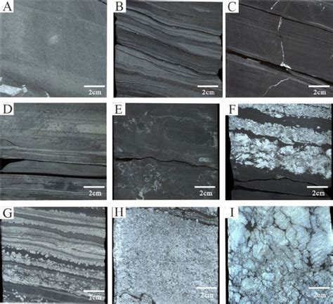 Main Lithofacies Characteristics Of The Lower Member Of Xingouzui Download Scientific Diagram
