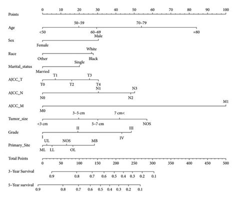 Lung Adenocarcinoma Survival Nomogram A Nomogram Predicted Survival
