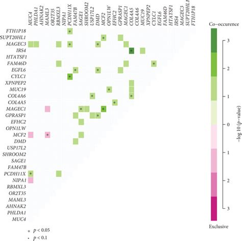 Landscape Of Mutation For Dcm A Mutation Classification Type Snv