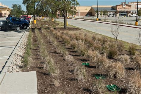 Click To View Hi Res Image