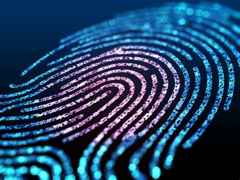 Canadas New Biometrics Rules Start July 31 Heres What You Need To