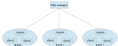 mysql高可用mha集群 原味苦茶 博客园
