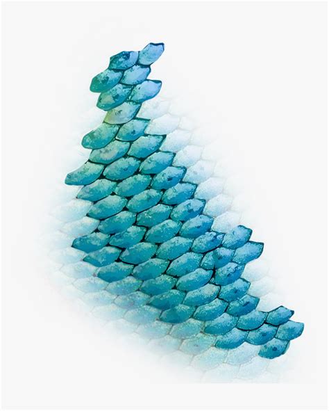 Mermaid Scales Png Mermaid Fish Scale Png Transparent Png Transparent Png Image PNGitem