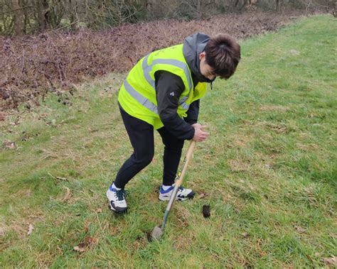 Tree Planting University Of Huddersfield