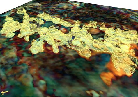 Tuning Curve Analysis