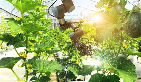 Artificial Intelligence Pollinate Of Fruits And Vegetables With Robot