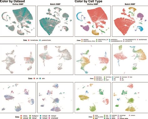 Online And Batch Inmf Yield Highly Similar Umap Visualizations We