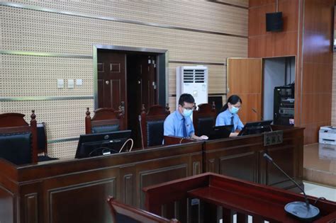 非法采挖收购加工金毛狗 这些人犯危害国家重点保护植物罪被判刑 云南长安网