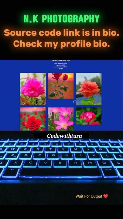 Day 6 Photography Landing Page Html Css Js 100 Days 100 Projects Codingisfun