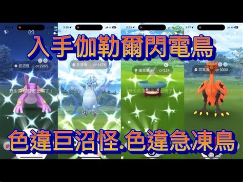 入手伽勒爾閃電鳥 色違巨沼怪 色違急凍鳥 色違蓮葉童子Pokémon Go 2023 07 12 YouTube