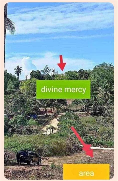 Residential Farm For Sale El Salvador Misamis Oriental 30 Properties