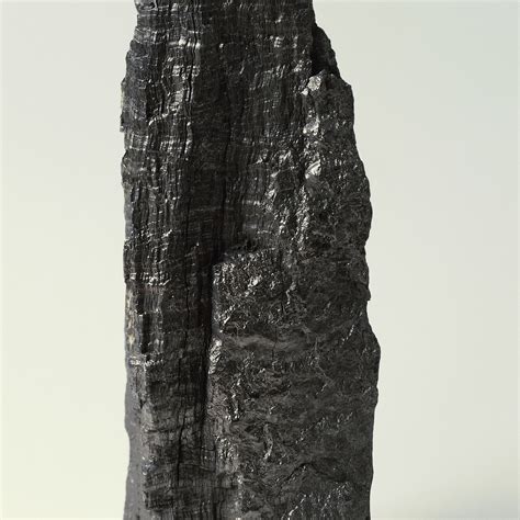 The Elemental Composition Of The Human Body
