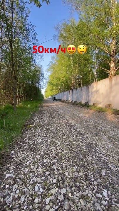 Вайл😍🤤 - YouTube