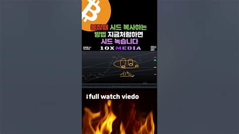 비트코인 불장에서 돈복사 하는 방법 매매전략 단타 단타매매 리플 매매기법 매매법 비트코인 선물거래 차트분석