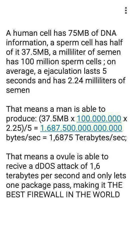 The Best Firewall In The World GAG