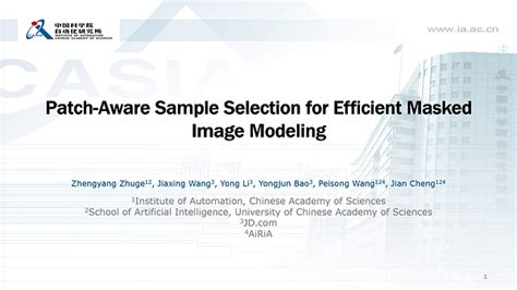 Patch Aware Sample Selection For Efficient Masked Image Modeling Underline