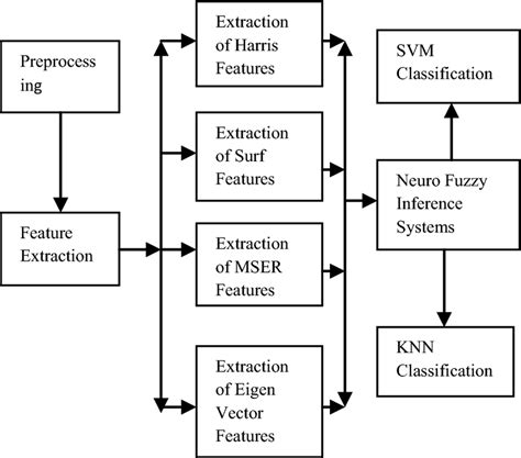 Feature Extraction Methods Used In Contact Lens Recognition Download Scientific Diagram