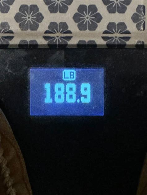 Checkpoint 3 Object Detection Dataset And Pre Trained Model By Machine Learning