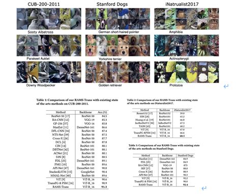 AI鸟类识别准确率达 91 3 浙大与阿里研究成果被顶会收录 极客公园