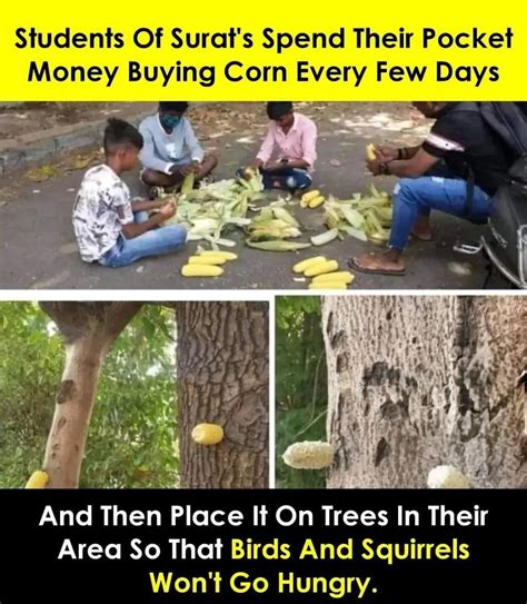 Sivakumar Babuji On Linkedin Great Job 👏