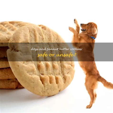 Dogs And Peanut Butter Cookies Safe Or Unsafe Petshun