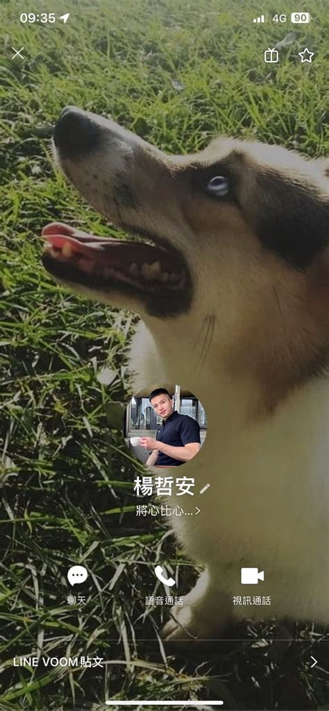 交友詐騙 探探詐騙 反詐騙板 Dcard
