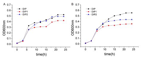 微生物生长曲线分析仪 利用生长曲线研究益生元活性 新芝生物
