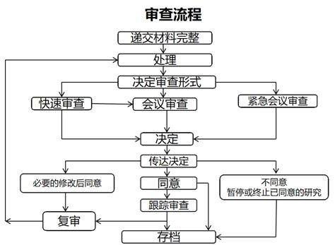 伦理审查流程 工作流程 伦理委员会 教育科研 南京医科大学附属泰州人民医院