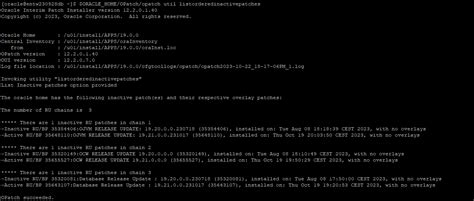 Increasing Database Patching Performance