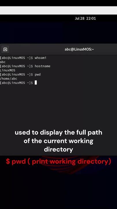 Linux Commands Whoami Hostname Pwd And Ls Etc Shorts Short Linux
