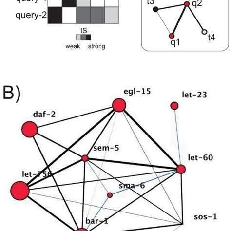 Genetic Interaction Networks A Genetic Interactions Of Different Download Scientific Diagram