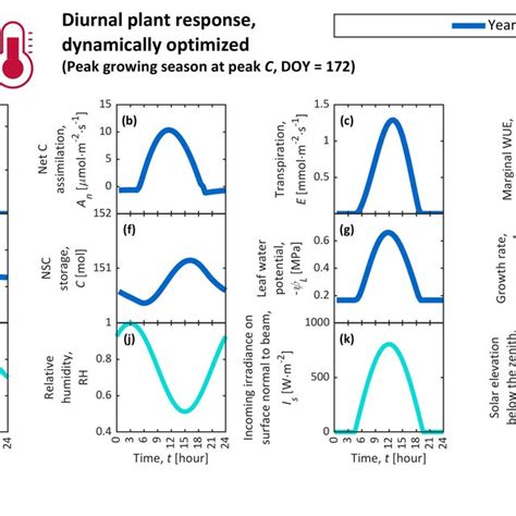 Diel Trends From Yearlong Simulation During The Peak Growing Season Download Scientific