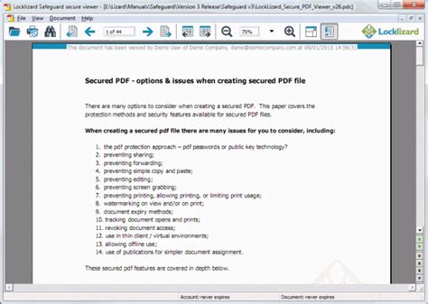 Secure PDF File Protect PDF Document Secured PDF Viewer