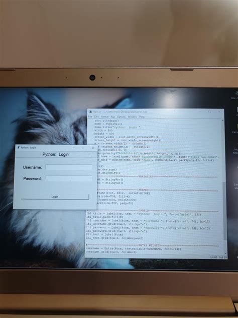 سورس کد فرم لاگین ساده با پایتون Mohammad Javad Nayeri