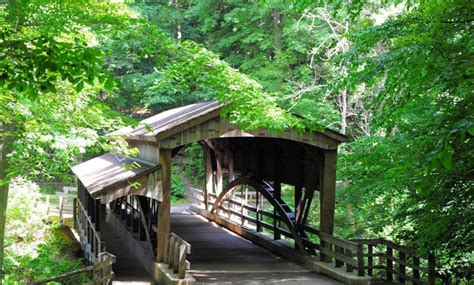 Premium Photo Built Structure In Forest