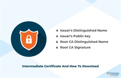 What Is An Intermediate Certificate How To Download It