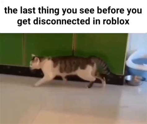 He Disconnected R Bloxymemes