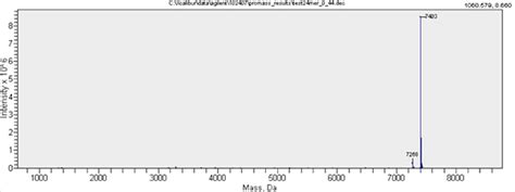 Oligonucleotide Sequence Confirmation Novatia Llc