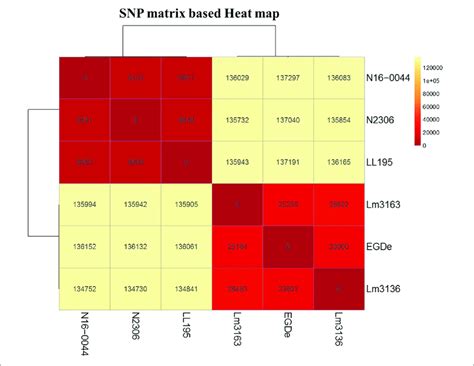 Snp Matrix Based Heatmap Showing The Variation In Core Genome Snps