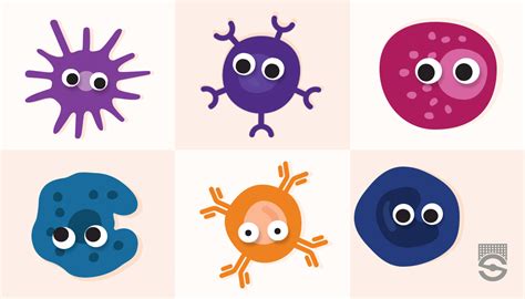 Immune System Cell Cartoon