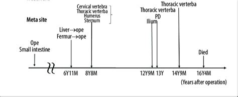 Treatment Course R Radiation I Imantinib S Sunitinib Gist Download Scientific Diagram
