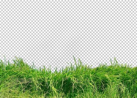 Premium Psd Grass Isolated Transparency Background