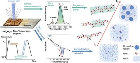 Monitoring The Evolution Of Segmental Order In Conjugated Polymers